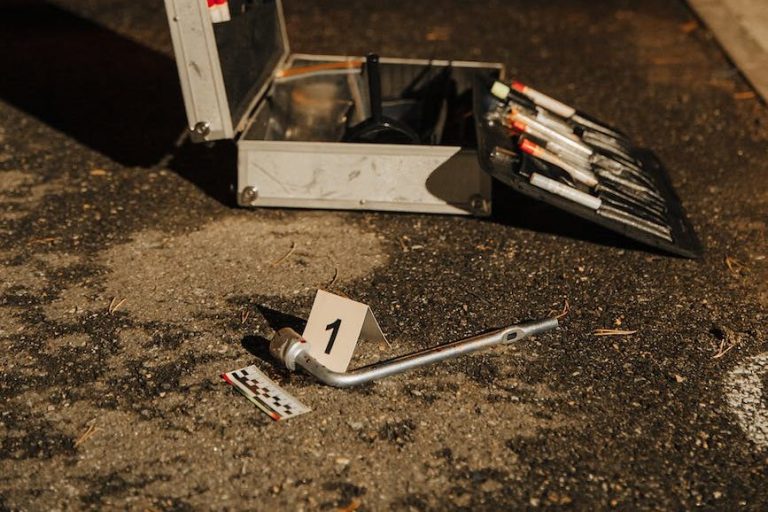 Live Course Descriptions - Advanced Police Concepts